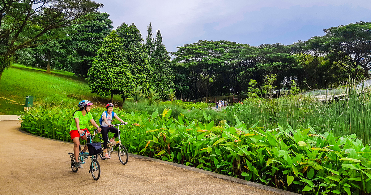 Best Parks in Singapore: Photos of the Flora and Fauna in the City