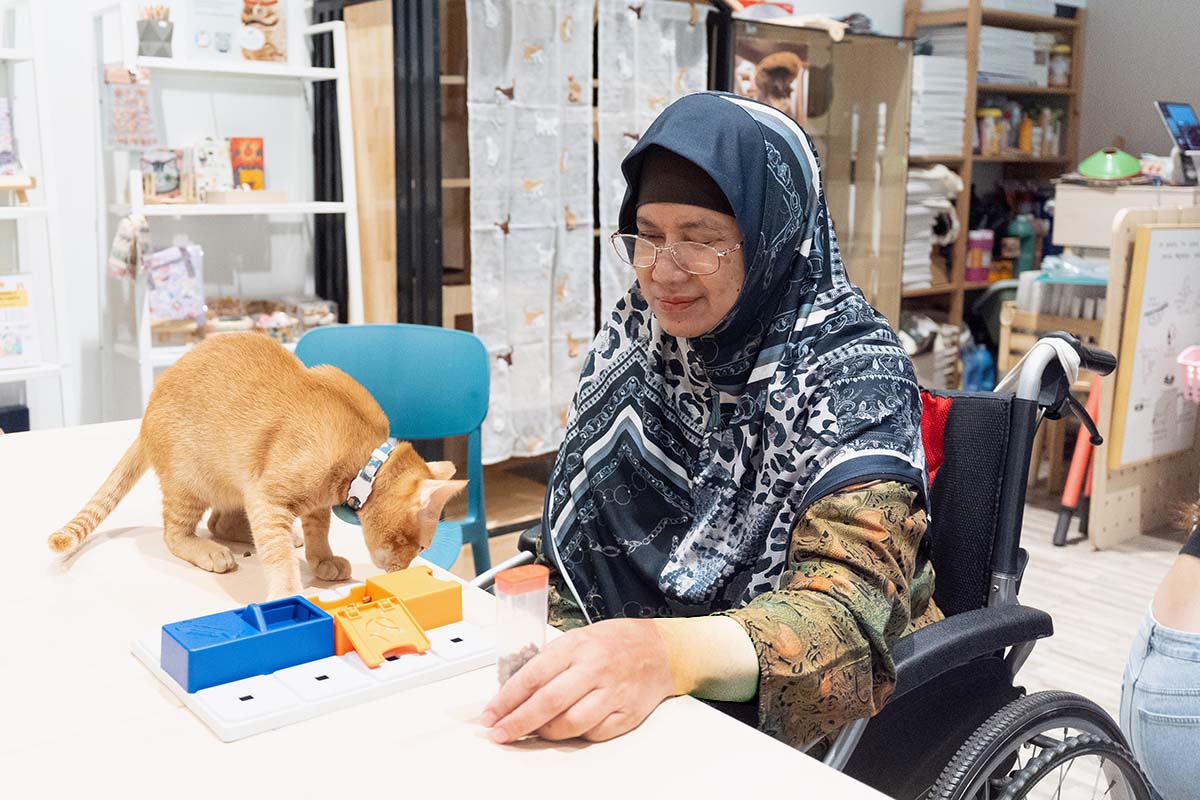 Cute Rescue Cats Help Stroke Survivors with Rehab in Singapore